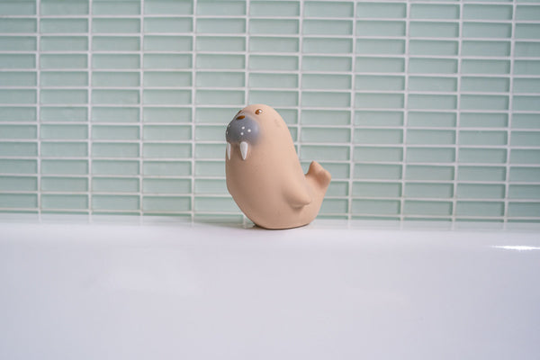 Tikiri Rubber Walrus Arctic Animal – Scarlett Tippy Toes